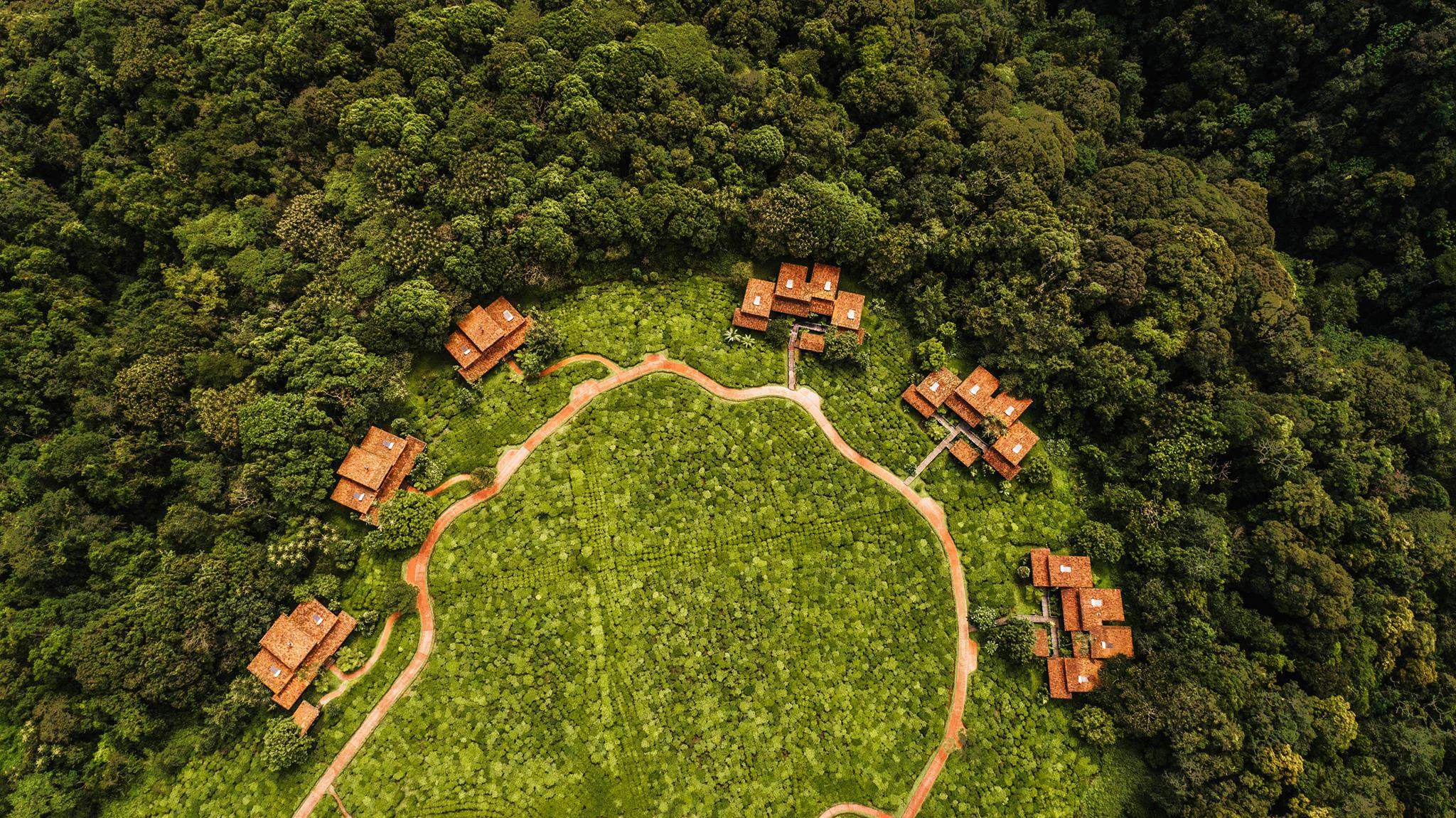 Parc national de Nyungwe , étape incontournable de votre voyage