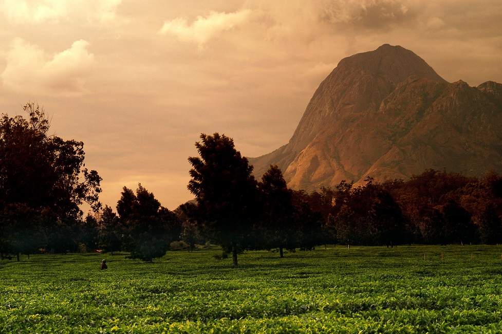 Mont Mulanje, étape incontournable de votre voyage